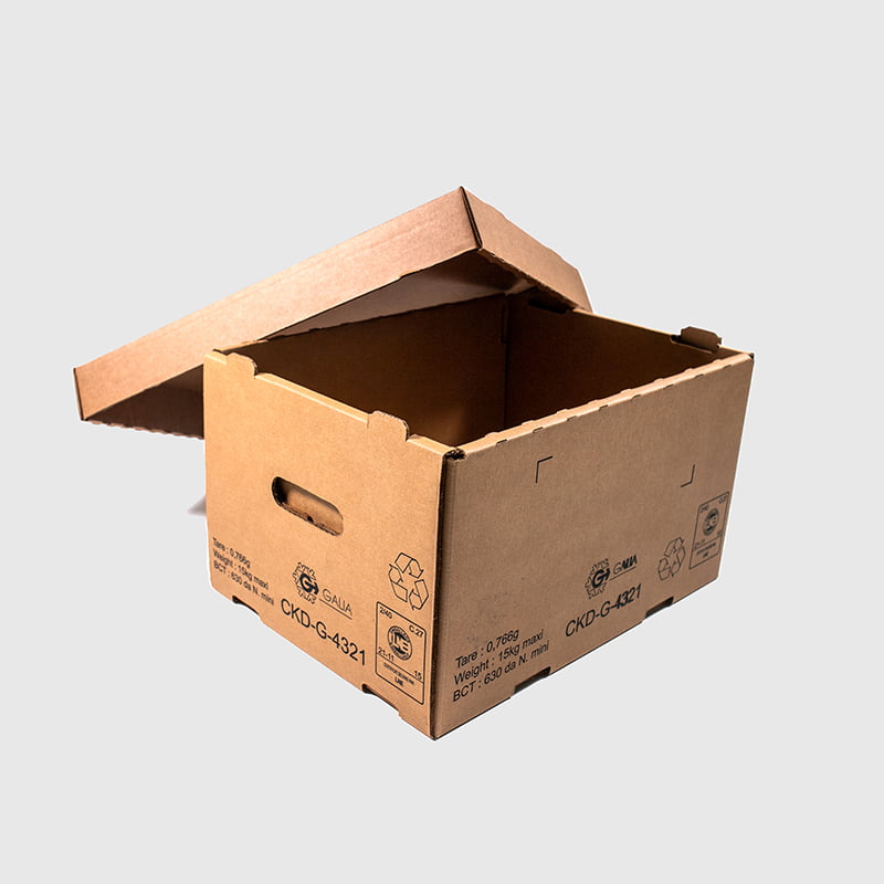 Cajas Troqueladas de Cartón Embalajes | Rotri